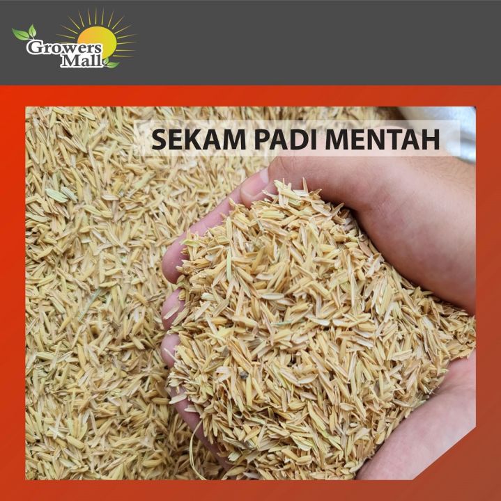 SEKAM PADI MENTAH / RICE HUSK for growing media / fertilizer, 10litre ...