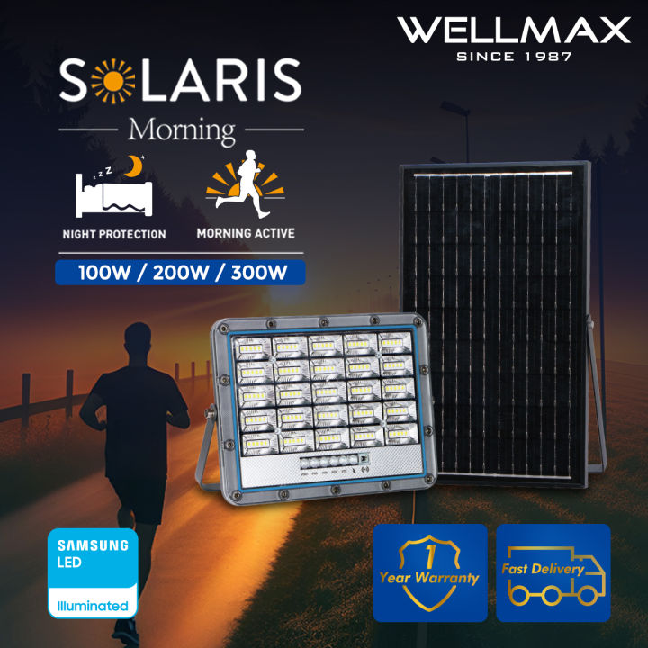 WELLMAX Solar Flood Light Adopt SAMSUNG LED Chip Waterproof Lighting ...