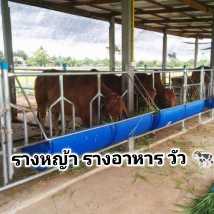 รางอาหาร รางน้ำ รางหญ้า รางพลาสติกหนาใบใหญ่ ขนาด 200 ลิตร | Lazada.co.th