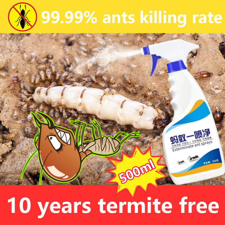 🐜Year-round ant-free 🐜 KM Ants spray killer ant spray Spray Termite ... 🐜Year-round ant-free 🐜 KM Ants spray killer ant spray Spray Termite ...