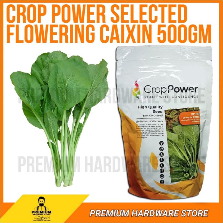 CROP POWER Shangrila Flowering Caixin Planting Seeds FC99 500G Biji ...