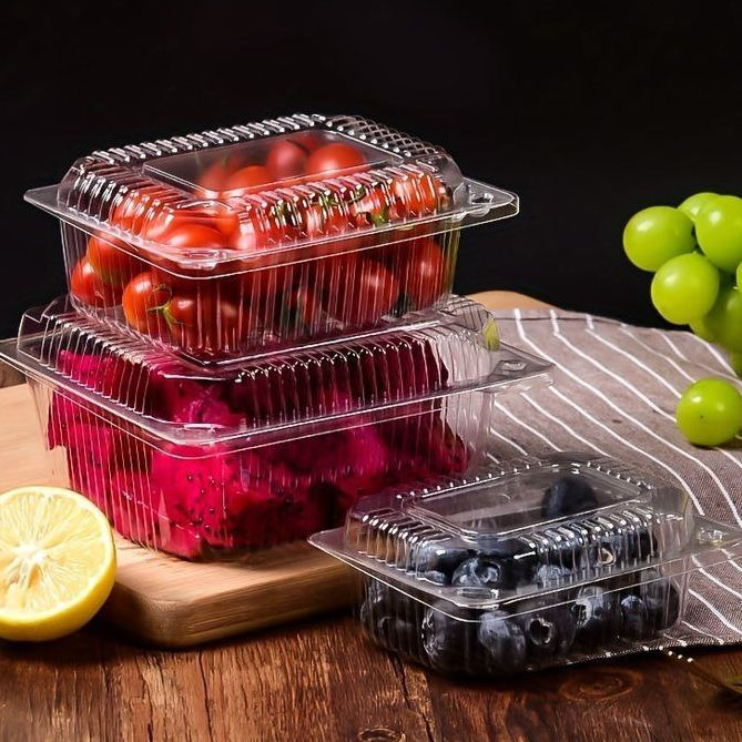 RORA - (50 Pcs) Disposable PET Plastic Food Tray / Bekas Makanan Tapau ...