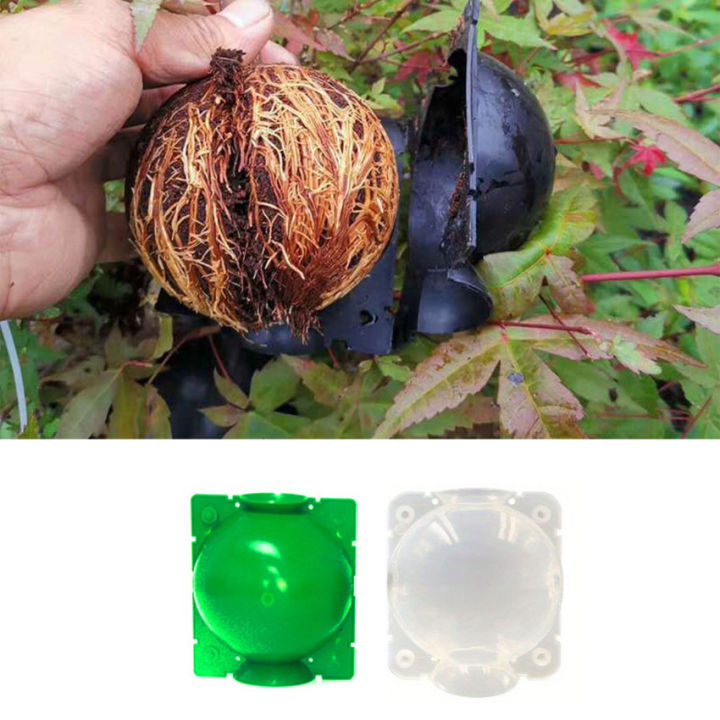 Plant High Pressure Propagation Box Tree Seedling High Pressure Root ...