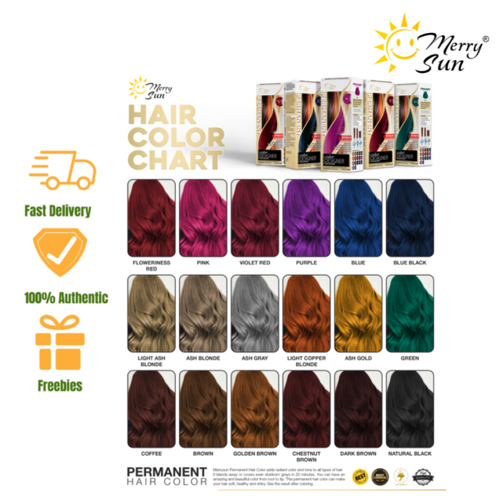 MerrySun Permanent Hair Color 60ml Vibrant Long-lasting colors, merry ...