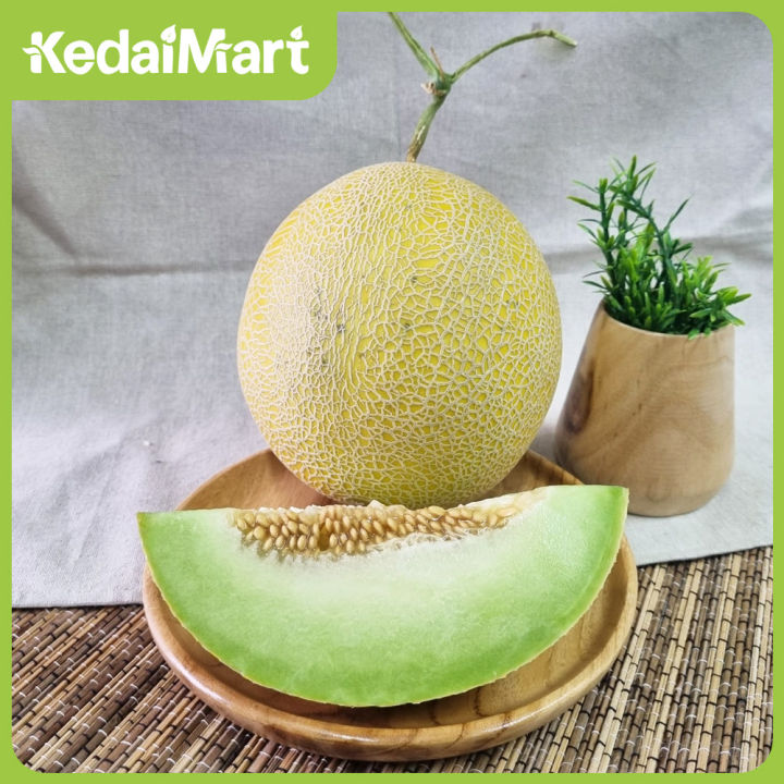 Melon Inthanon 0.5 - 1.2 Kg | Lazada Indonesia