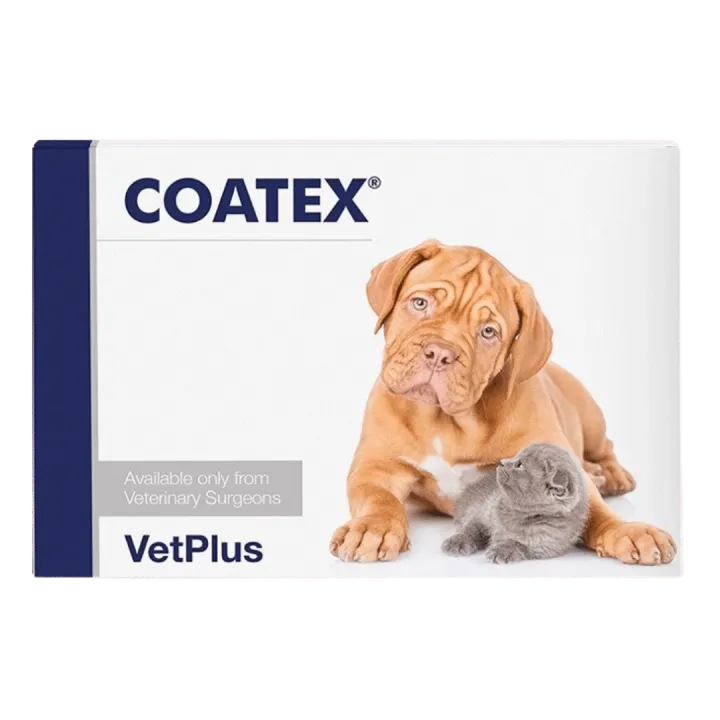 Coatex Skin Supplement For Dogs & Cats 60 Capsules | Lazada