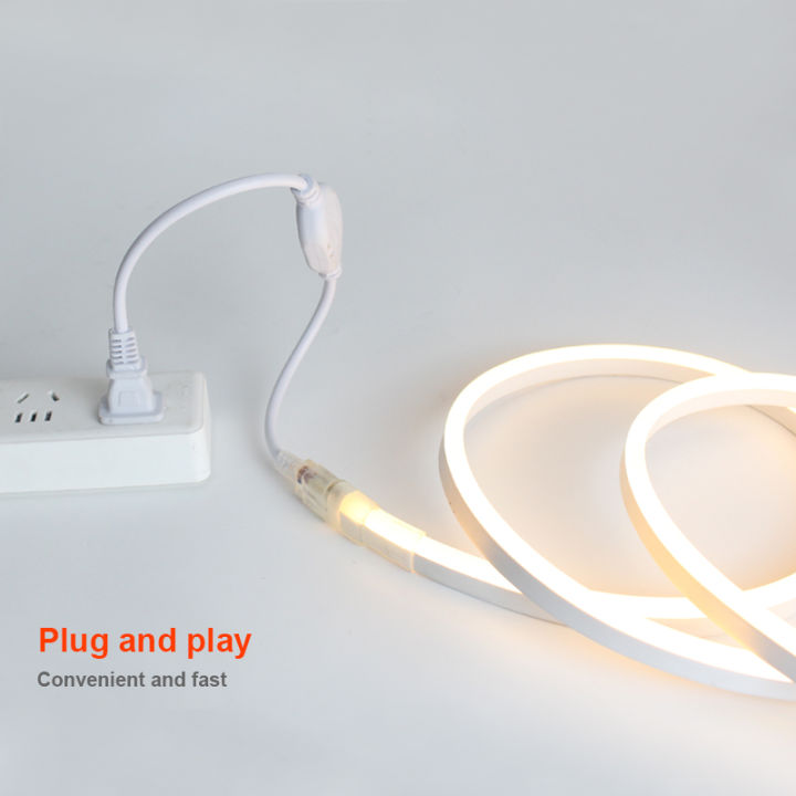220V LED light strip fittings waterproof power plug | Lazada PH