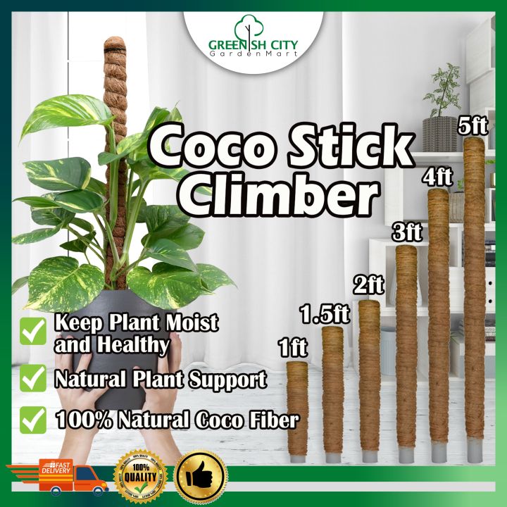 GNC Coco Stick For Climbing Plant Coco Fiber Pole Plant Support Batang ...