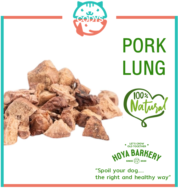HOYA BARKERY Pork Lung All Natural Dog Treats in 50g | Lazada PH