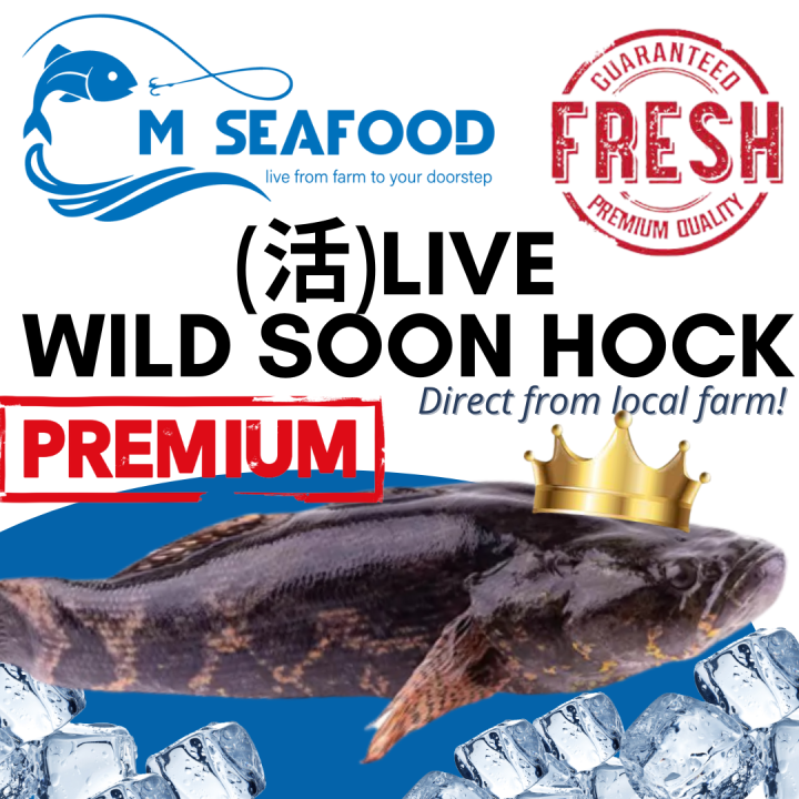 M Seafood Live Fresh Wild Soon Hock (Marble Goby / 活笋壳鱼) (600G-1KG ...