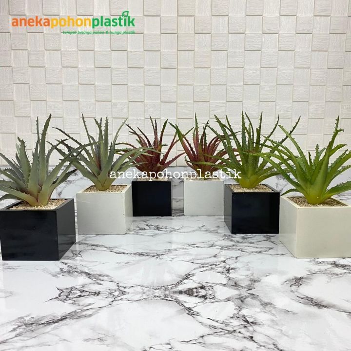 Pohon Daun Lidah Buaya Variasi Latex Tanaman Artifisial Hiasan Plastik ...