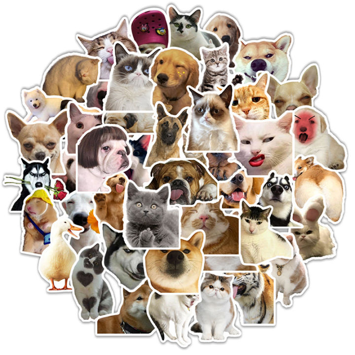 hedeguoji💕50pcs Mix Animal Cat Meme Graffiti Stickers Kids Toy Guitar ...