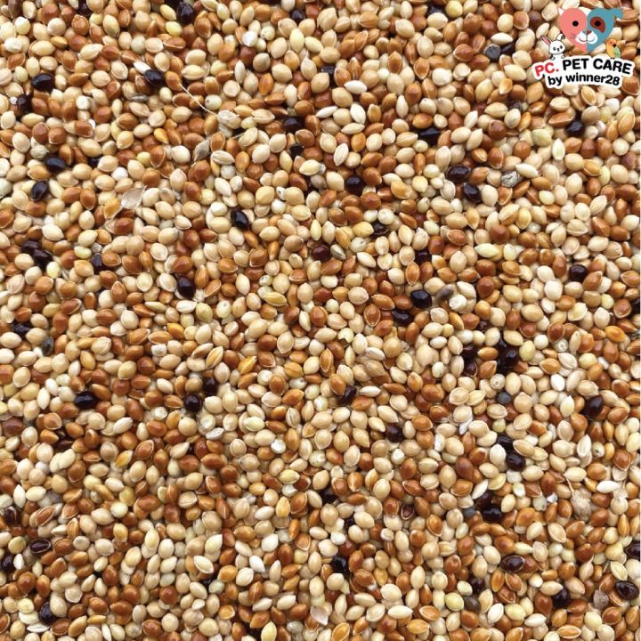 Mix Millet มิลเล็ตรวม อาหารนกเขาเล็ก อาหารนก หนู กระต่าย กระรอก ชูก้า ...