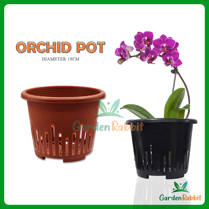 Orchid Plastic Flower Pot Pasu Bunga Okid Gafri 蝴蝶兰花盆 | Lazada