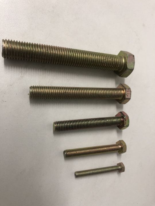 10 PCS HEXAGONAL HEAD GI BOLT SCREW | Lazada PH