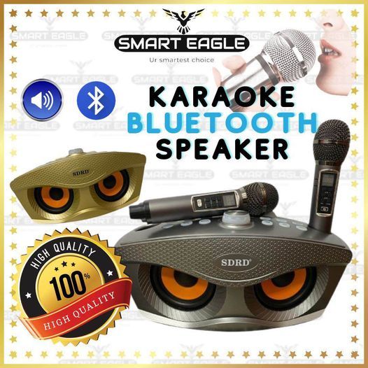 SDRD SD-306 Portable Family Karaoke System Condenser Wireless Stereo ...
