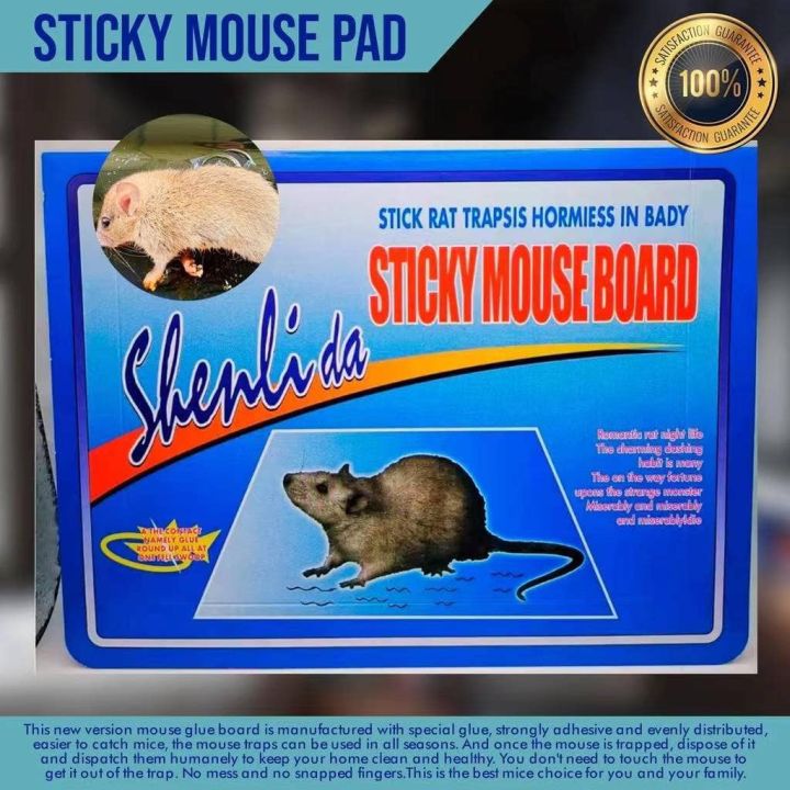 Mouse Board Traps Sticky Rat Mouse Glue Mouse-Land Sticky Trap | Lazada PH