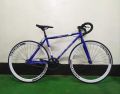 SOLANA FIXIE STEEL 700cx23c SIZE 46CM | Lazada PH