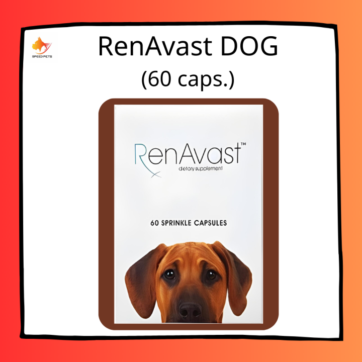RenAvast DOG 60 capsules อาหารเสริม บำรุงไตสุนัข กระตุ้นการกินอาหาร ...
