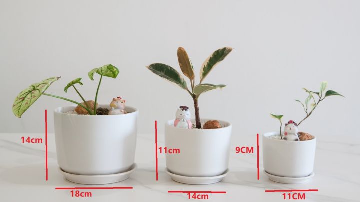 INS Style White Ceramic Plant Pot Matt Finishing Nordic Indoor ...
