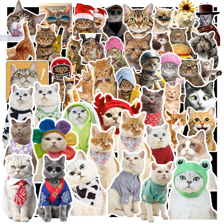 Set 100/50 Sticker Mèo Vui Nhộn Meme - Chống Thấm Nước Graffiti - Dán ...