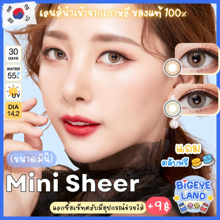 คอนแทคเลนส์ Mini Sheer Brown / Gray (Kitty Kawaii) ขนาดมินิ 🌷 | Lazada.co.th