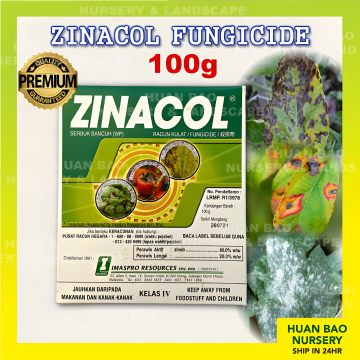 Zinacol Fungicide Racun Kulat 100g Plant Fungicide Insecticide Racun ...