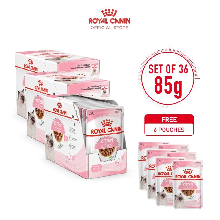 Royal Canin Kitten Wet Cat Food (85g x 36 pouches) - Feline Health Nutrition | Lazada PH
