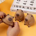 ของเล่นบีบ Capybara ฟื้นตัวช้า - สัตว์ดนตรีคลายความเครียด | Lazada.co.th