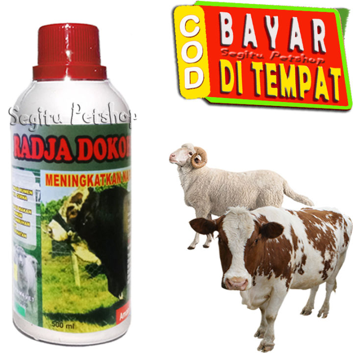 Vitamin Gemuk Sapi Kambing Kuda Multivitamin Raja Dokoh 500ml | Lazada ...