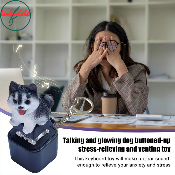 Dog Keyboard Fidget Toy with Sound LED Light Stress Anxiety Relief ...