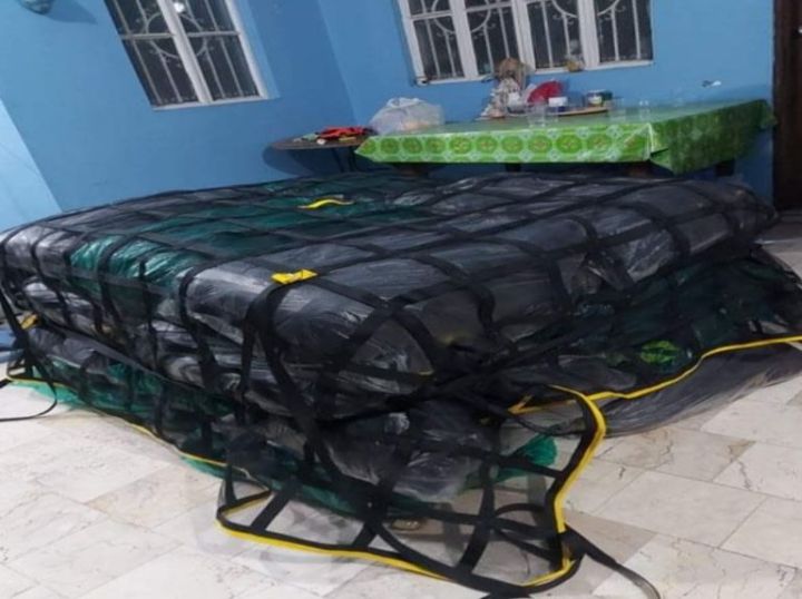 Spider Cargo Net Pick up Truck for Toyota Hilux | 8ft x 8ft Spider Type ...
