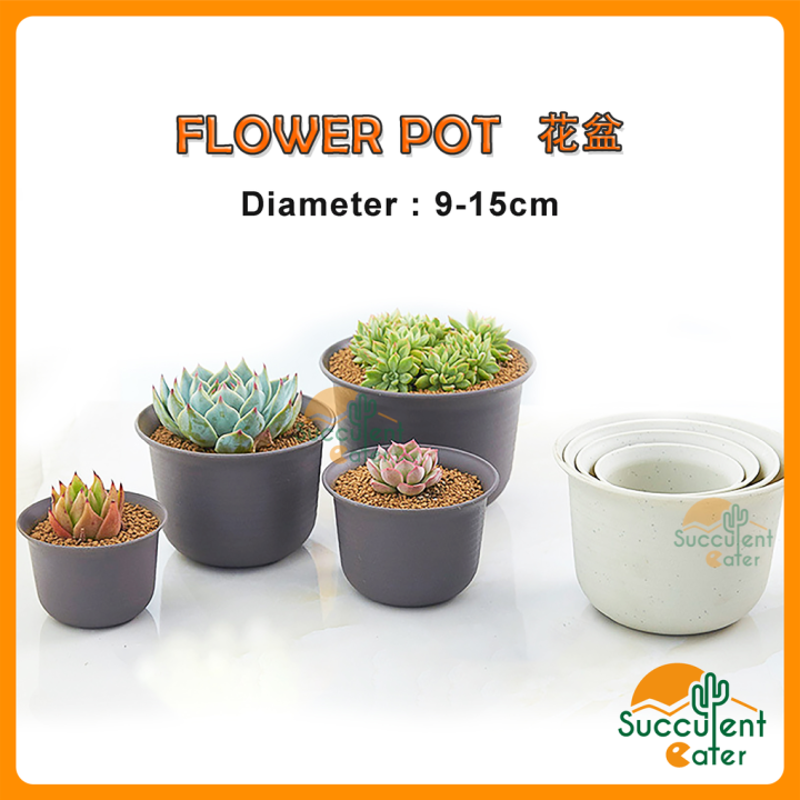 Round Plastic Pots Short Pasu Bunga 矮体圆塑料花盆 | Lazada