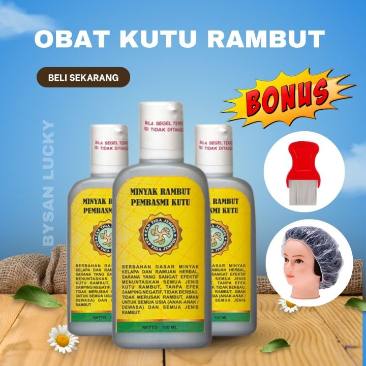 Obat Kutu Rambut dan Telurnya Paling Ampuh Aman Untuk Anak - Minyak ...