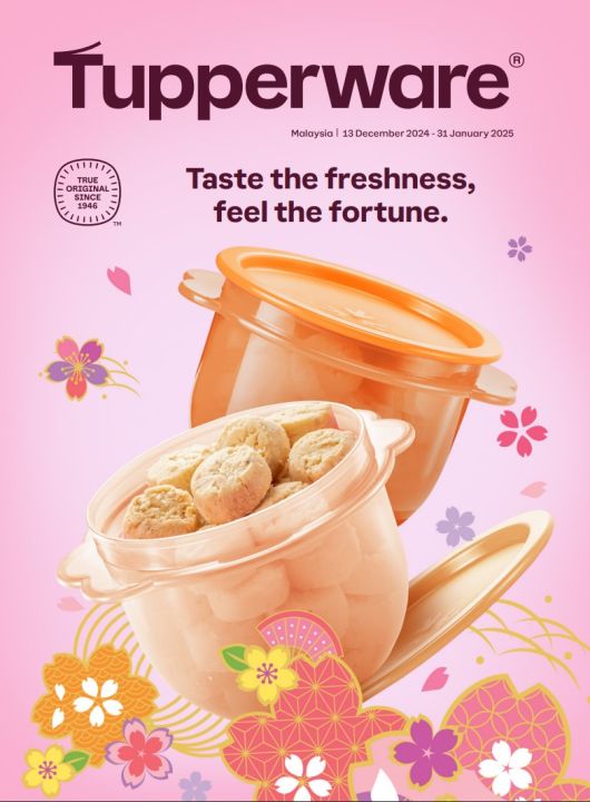 Tupperware CNY 2025 cookies gift set | Lazada