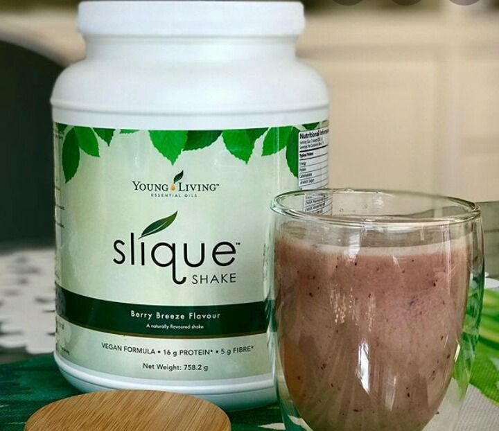 YL Young Living Slique Shake (MY) | Lazada