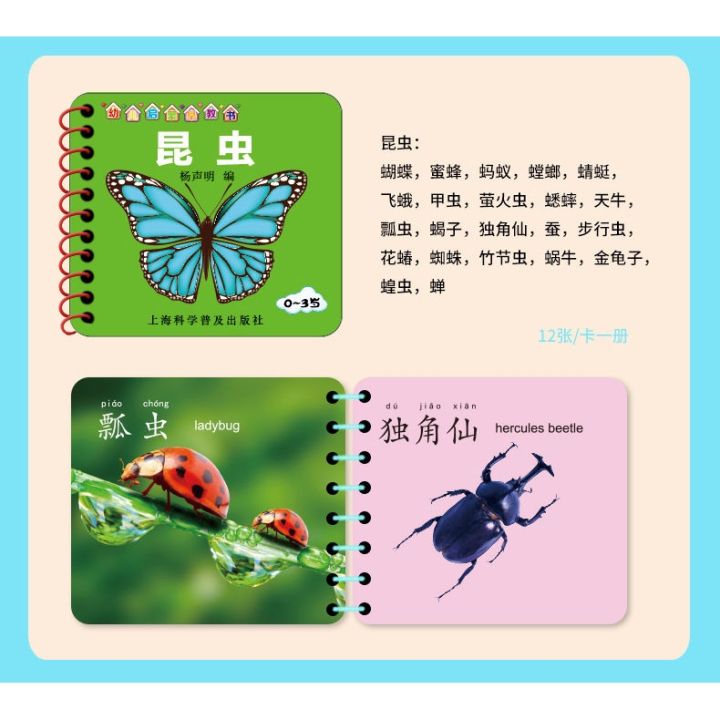 Mini Kids Early Learning Book Baby Educational Toys Cognitive Flash ...