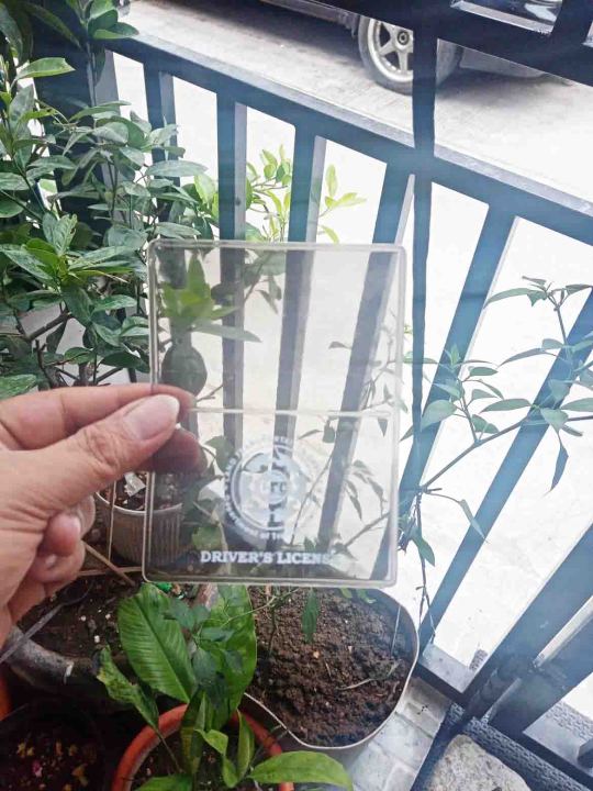 DRIVERS LICENSE ID PLASTIC jacket (Black ) WITH LTO LOGO | Lazada PH