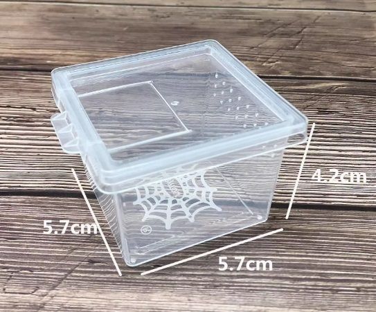 Plastic Breeding Box Spider Insects Container 蜘蛛昆虫饲养盒 | Lazada