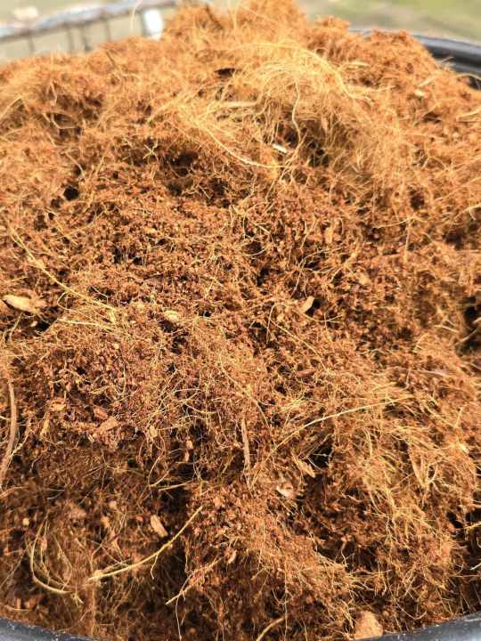 Raw and Unscreened Coco Peat 10kgs (Php220) | Lazada PH