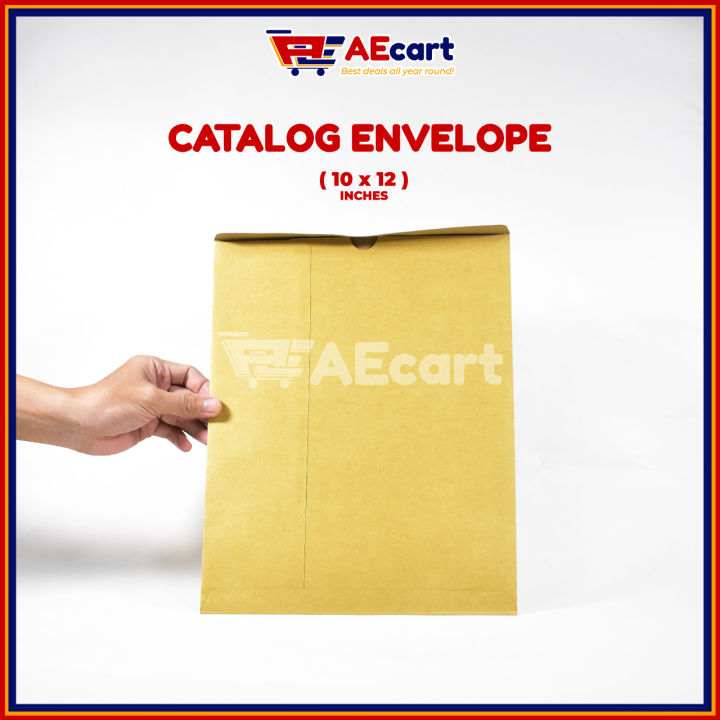 CATALOG BROWN ENVELOPE (10" x 12") 10PCS | Lazada PH