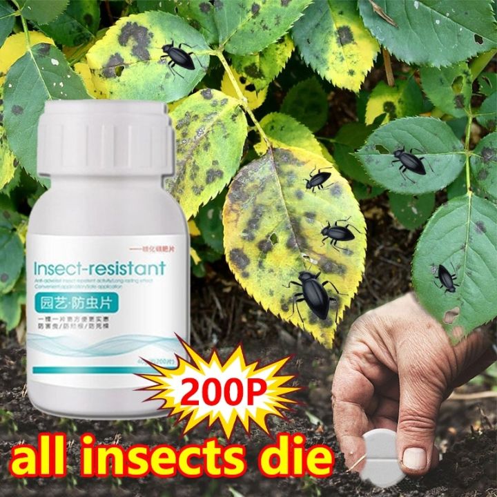 Green and pollution-free Racun serangga tanaman Plant insect repellent ...