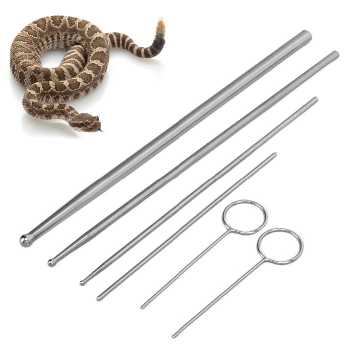 Reptiles Snake Sexing Probe Anti Allergic Snake Probe Kit for Snake ...