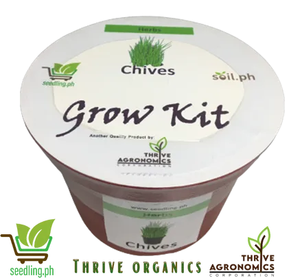 Chives Spices Herbs Grow Kit Herb Seedling Kit Starter Kit Planting Kit Thrive Agronomics ...