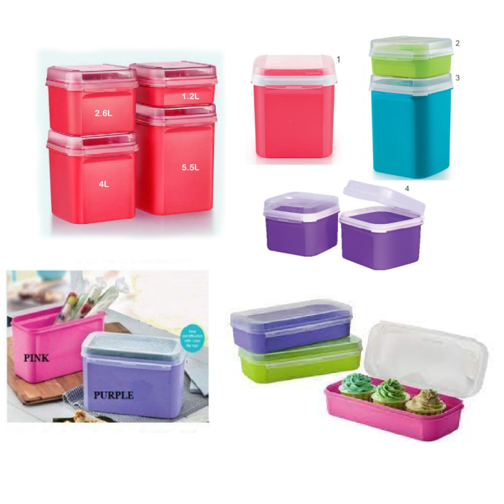 Tupperware Mini Line Signature 450ml 980ml Ezy Square Keeper Signature Line Square