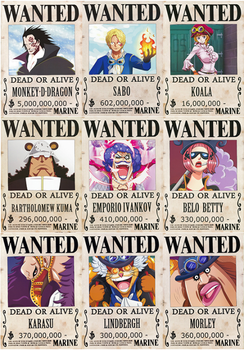 One Piece Wanted Revolution Army 9 PCS Poster Straw Hat Cap Pirates ...