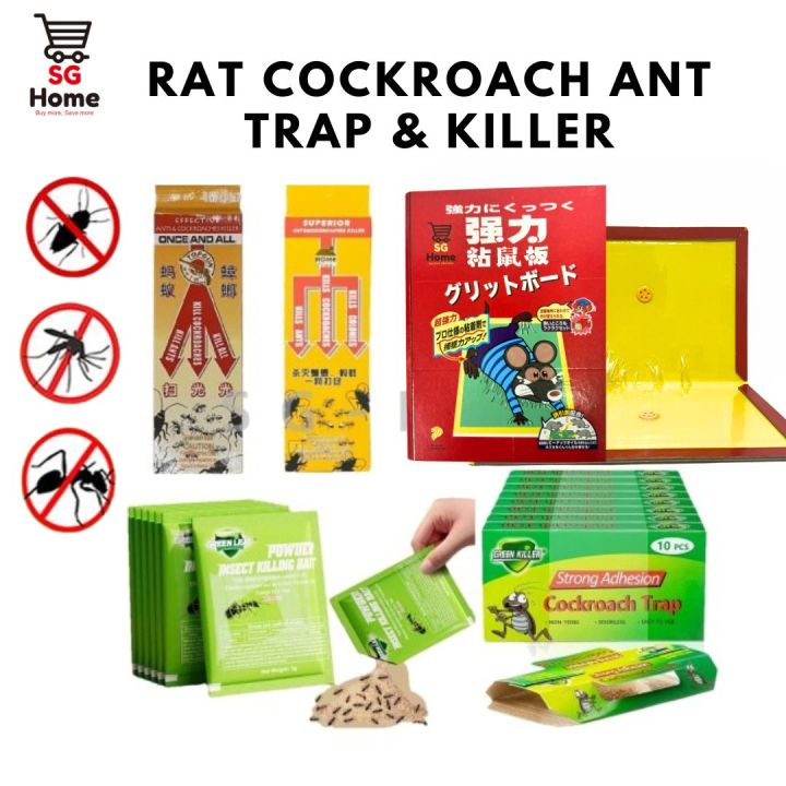 Ants And Cockroaches Killer | Ants Bait | Cockroach Trap Lizard Trap ...