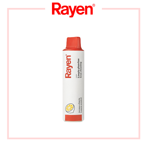 Rayen Iron Cleaning Stick (Iron Cleaner) | Lazada Singapore