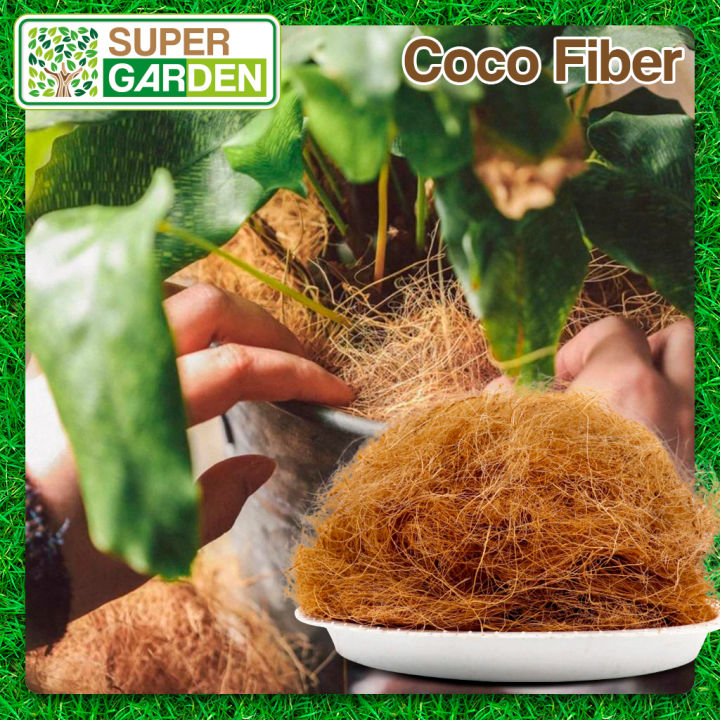 100% Natural Coco Fiber 6L/0.8kg Fiber Kelapa Bersih Coconut Coco Long ...