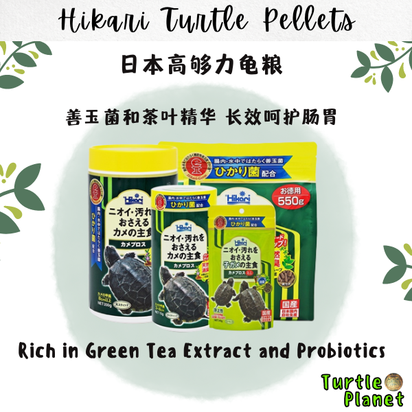 Hikari Turtle Food Makanan Kura Kura Turtle Pellet Turtle Pallet 日本高够力 ...